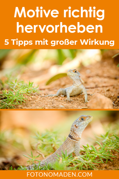 5 Tipps, wie du dein Foto-Motiv hervorhebst