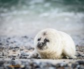 Foto-Tipp: Besser Querformat oder Hochformat? - FOTONOMADEN.COM