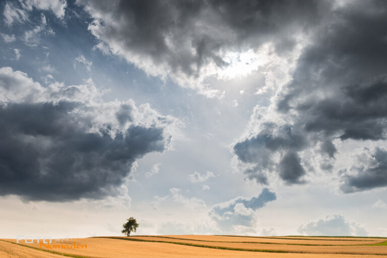 Foto-Tipp: Besser Querformat oder Hochformat?