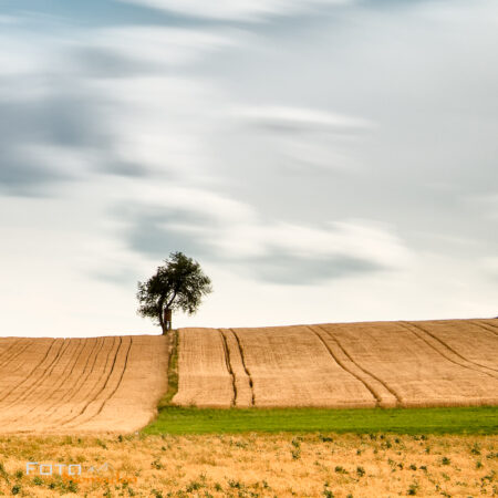 Foto-Tipp: Besser Querformat oder Hochformat? - FOTONOMADEN.COM