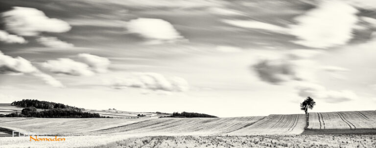 Foto-Tipp: Besser Querformat oder Hochformat? - FOTONOMADEN.COM