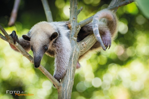 Foto-Tipp: Besser Querformat oder Hochformat?