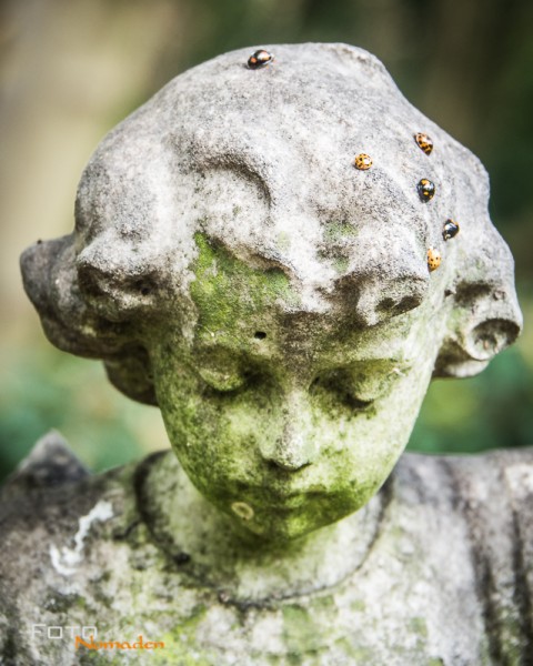 Foto-Tipp: Besser Querformat oder Hochformat?