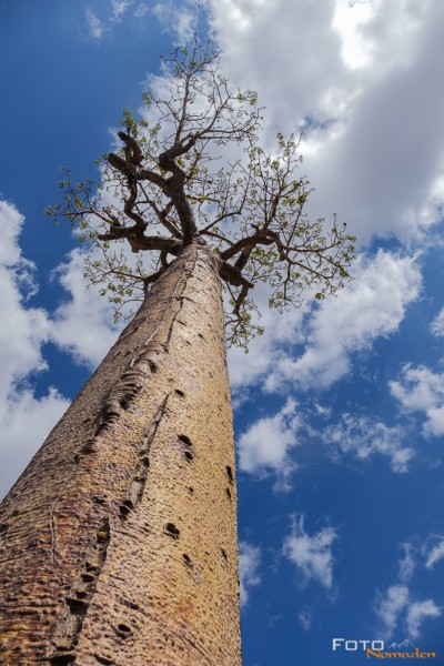 Foto-Tipp: Besser Querformat oder Hochformat?