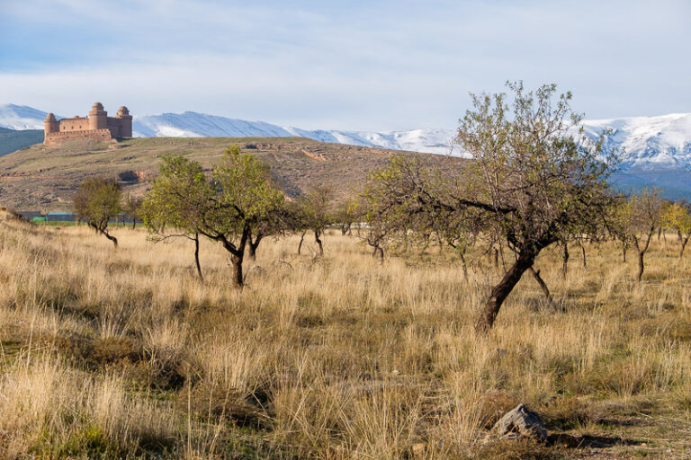Andalusien: 15 Natur- & Kulturhighlights | FOTONOMADEN.COM