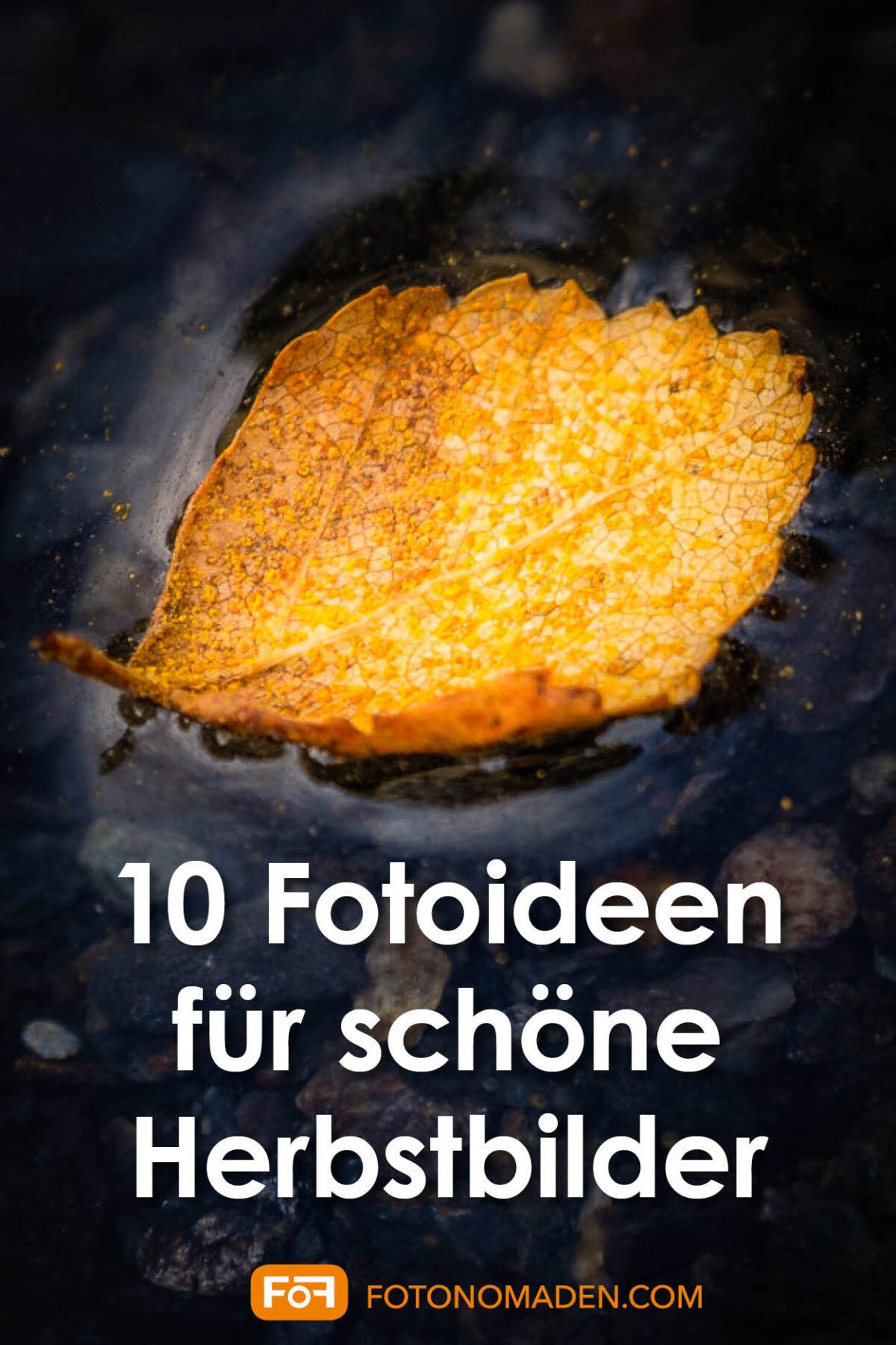 Schöne Herbstbilder: 10 Herbstmotiv Fotoideen - FOTONOMADEN.COM