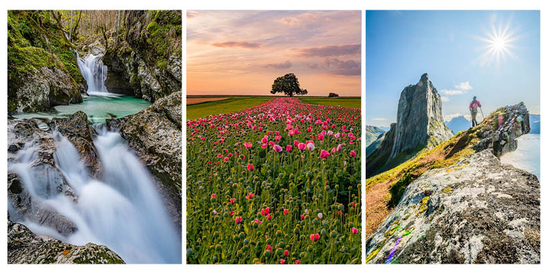 Foto-Tipp: Besser Querformat oder Hochformat?