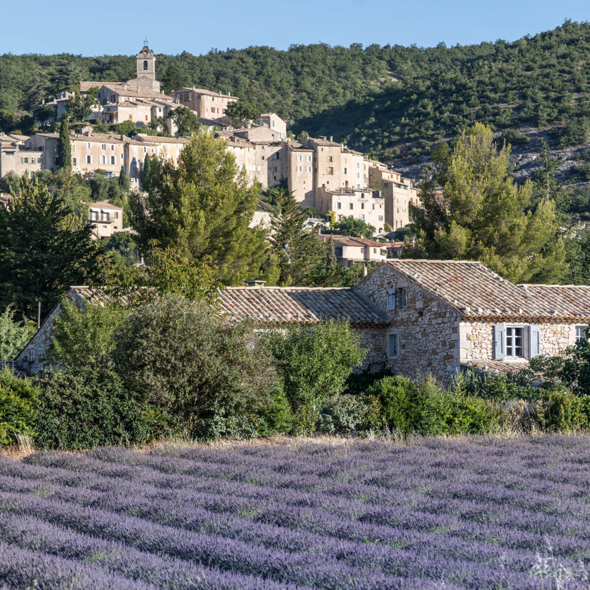 Provence Reise: Die besten Urlaubs- & Fototipps - FOTONOMADEN.COM